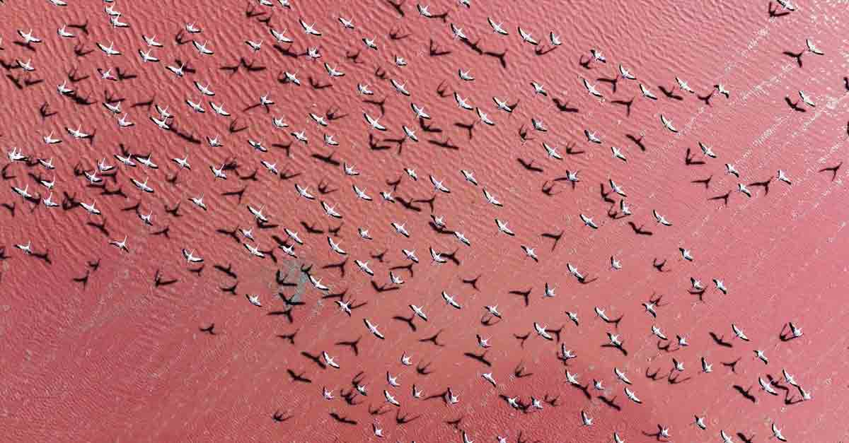 Defining moments: how to navigate turning points in wealth ownership ...